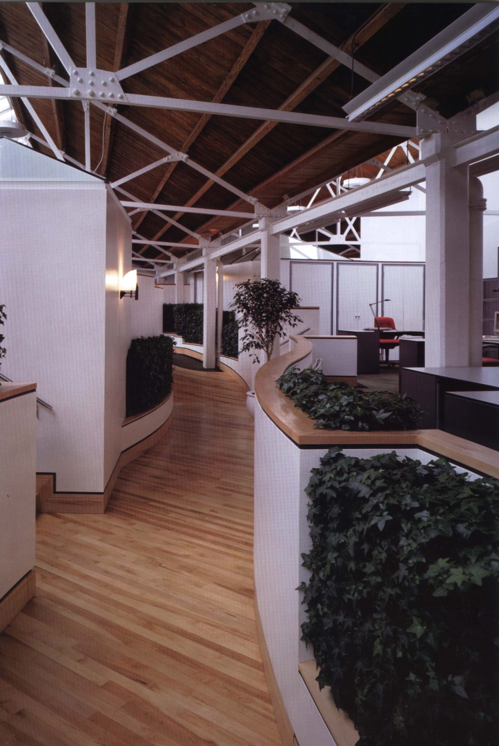 Camden Graphics | Mitchell Berry Architects - Kensington architects